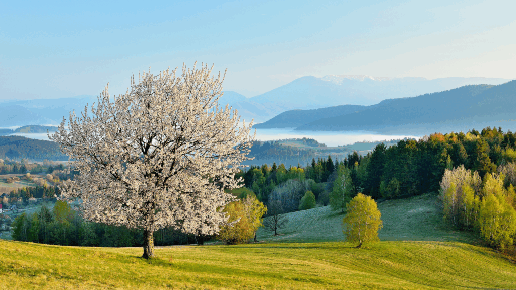 5 Benefits of Working with a Sell-Side M&A Advisor to Sell Your ...